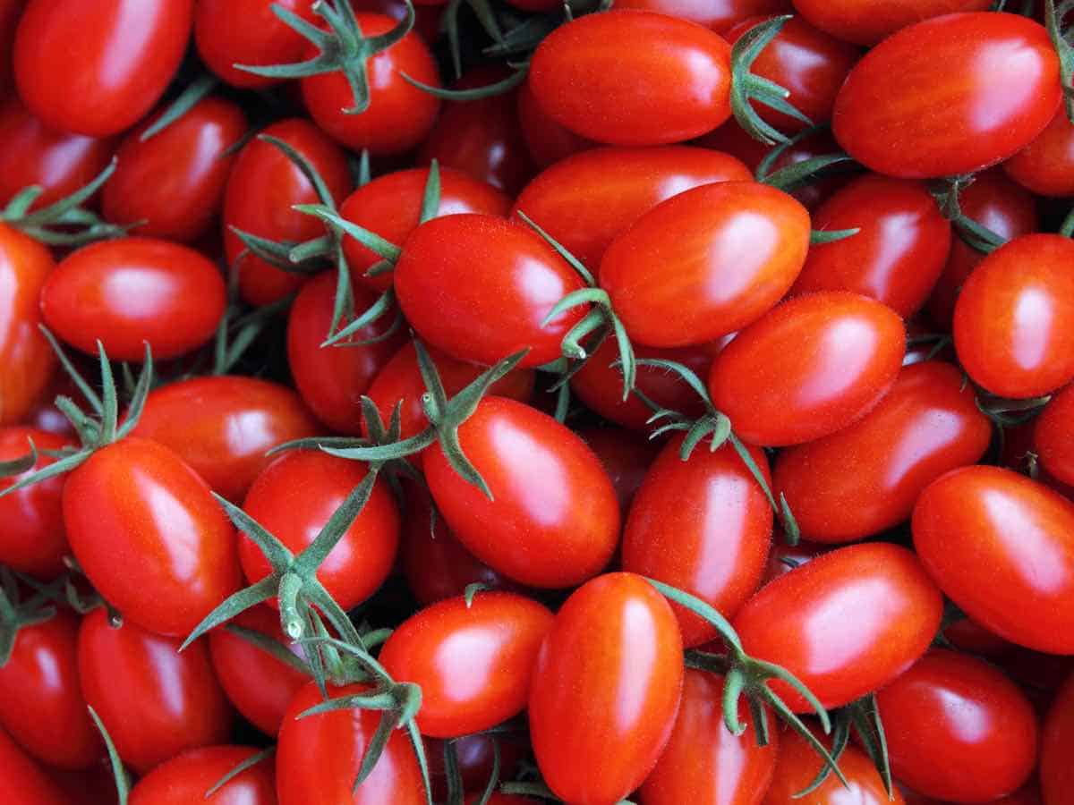 Best Way to Store Grape Tomatoes – Food & Wine